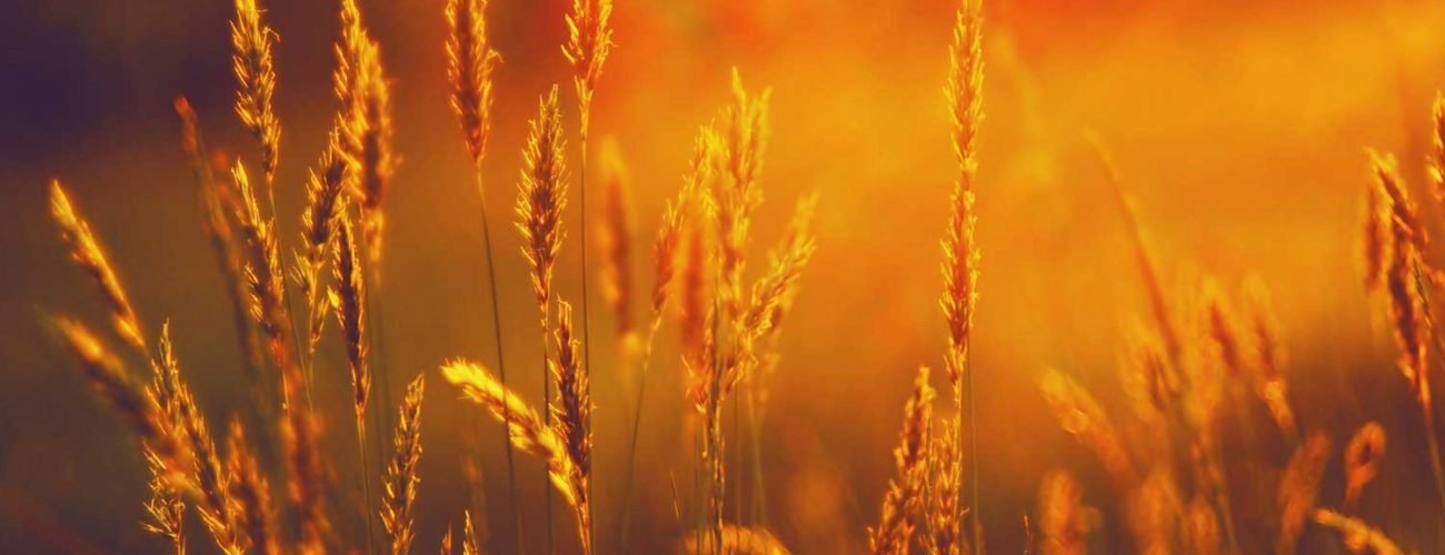 November 2021 – Sigma Marine Products, Ltd