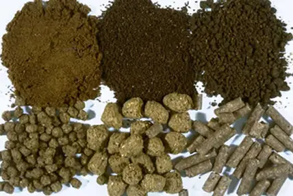 Animal Nutrition – Sigma Marine Products, Ltd