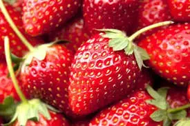 Proprietary Formulation – Sigma Marine Products, Ltd