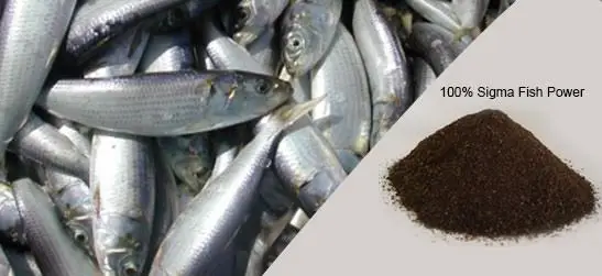 Proprietary Formulation – Sigma Marine Products, Ltd